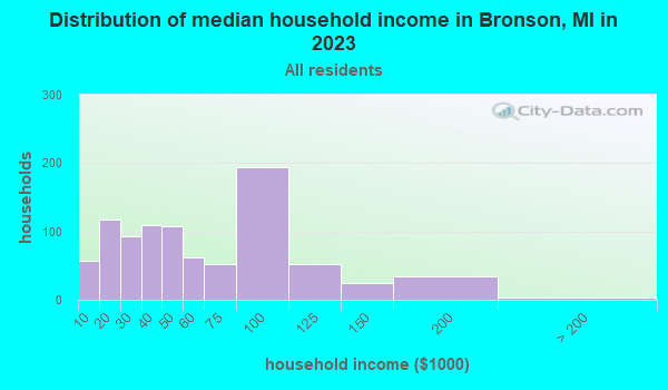 Bronson, Michigan (MI 49028) profile: population, maps, real estate ...