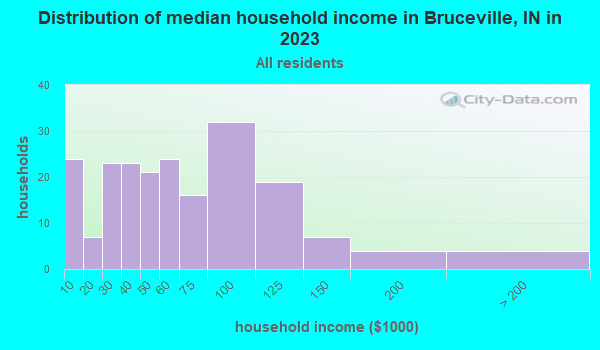 Bruceville, Indiana (IN 47516) profile: population, maps, real estate ...