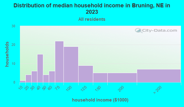 Bruning, Nebraska (NE 68322) profile: population, maps, real estate ...