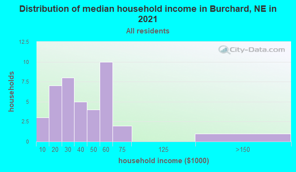 Burchard, Nebraska (NE 68323) profile: population, maps, real estate ...