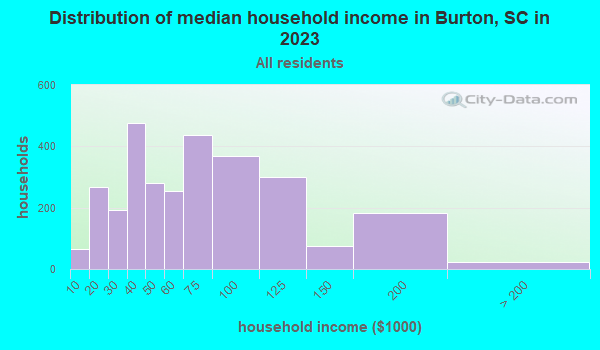 Burton, South Carolina (SC 29906) profile: population, maps, real ...