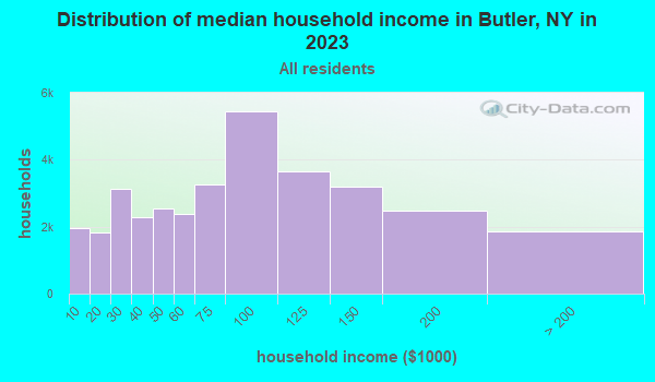 Butler, New York (NY 14590) profile: population, maps, real estate ...