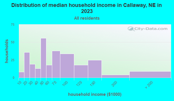 Callaway, Nebraska (NE 68825) profile: population, maps, real estate ...