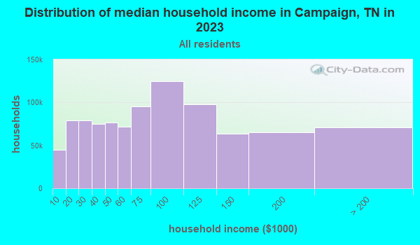 Campaign, Tennessee (TN 38581) profile: population, maps, real estate ...