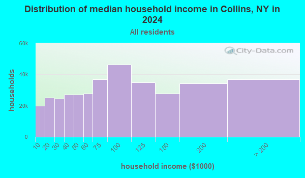 Collins, New York (NY 14034) profile: population, maps, real estate ...