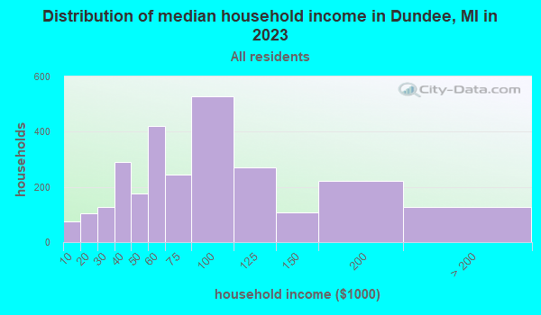Dundee, Michigan (MI 48131) profile: population, maps, real estate ...
