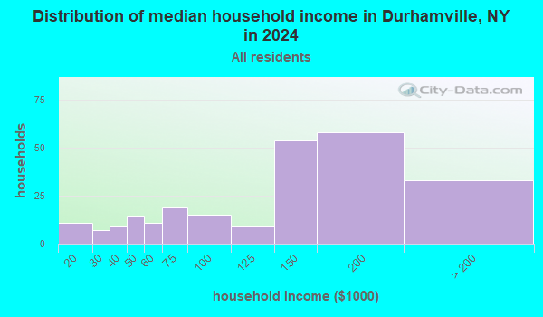 Durhamville, New York (NY 13054) profile: population, maps, real estate ...