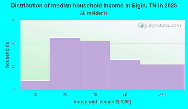 Elgin, Tennessee (TN) profile: population, maps, real estate, averages ...