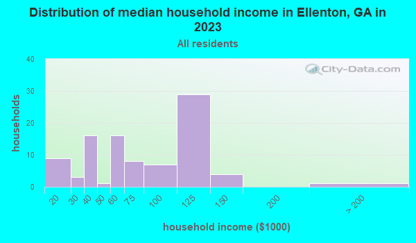 Ellenton, Georgia (GA 31747) profile: population, maps, real estate ...