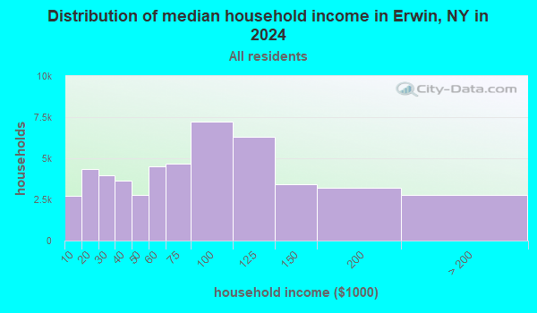 Erwin, New York (NY 14870) profile: population, maps, real estate ...