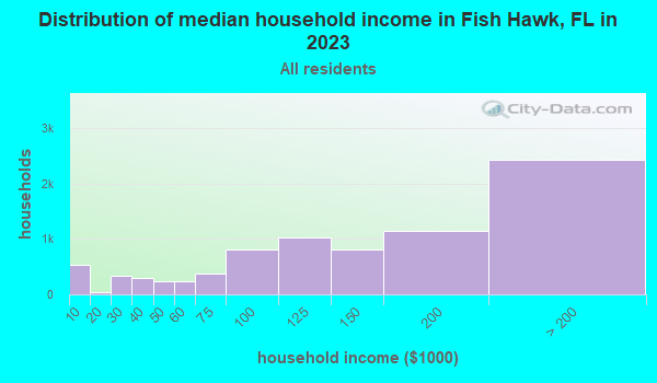 Fish Hawk, Florida (FL 33547, 33569) profile: population, maps, real ...