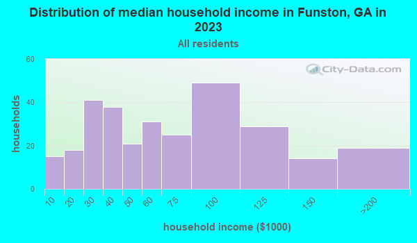 Funston, Georgia (GA 31768) profile: population, maps, real estate ...