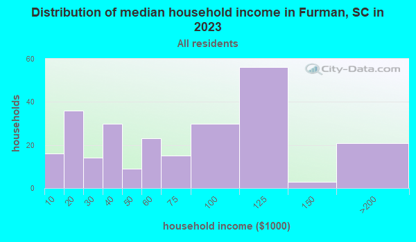 Furman, South Carolina (SC 29921) profile: population, maps, real ...