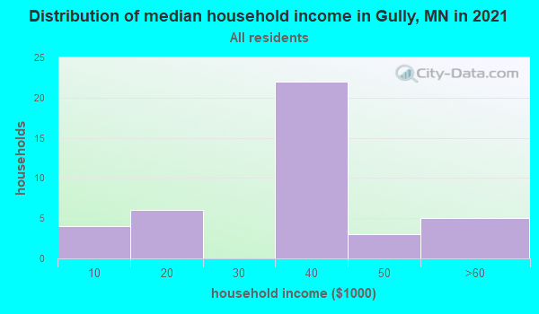 Gully, Minnesota (MN 56646) profile: population, maps, real estate ...
