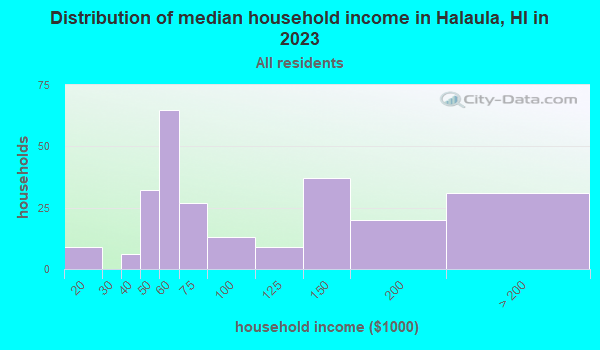 Halaula, Hawaii (HI 96755) profile: population, maps, real estate ...