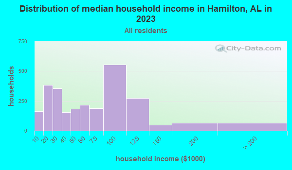 Hamilton, Alabama (AL 35570) profile: population, maps, real estate ...