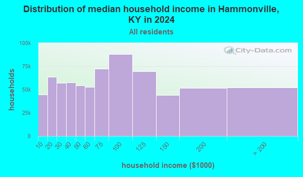 Hammonville, Kentucky (KY 42757) profile: population, maps, real estate ...