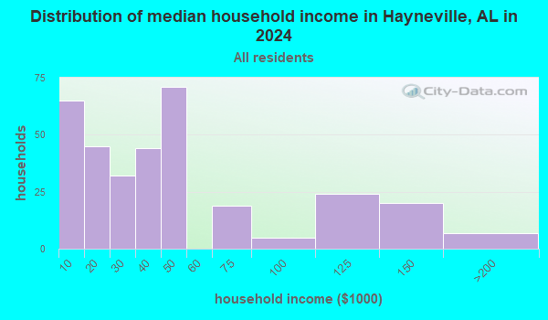 Hayneville, Alabama (AL 36040) profile: population, maps, real estate ...