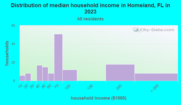 Homeland, Florida (FL) profile: population, maps, real estate, averages ...