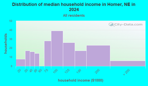 Homer, Nebraska (NE 68030) profile: population, maps, real estate ...
