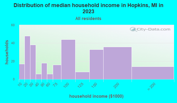 Hopkins, Michigan (MI 49328) profile: population, maps, real estate ...