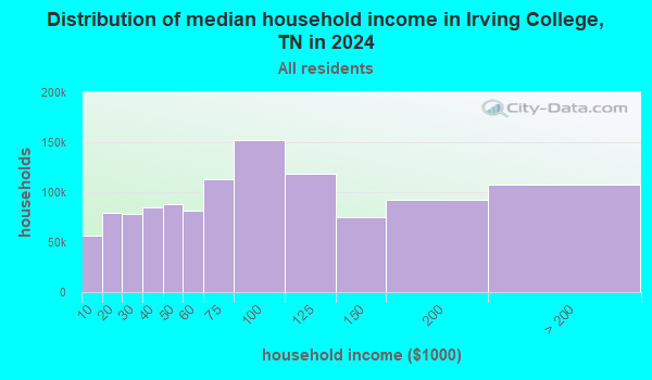 Irving College, Tennessee (TN 37110) profile: population, maps, real ...