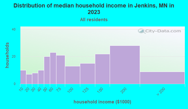 Jenkins, Minnesota (MN 56456) profile: population, maps, real estate ...