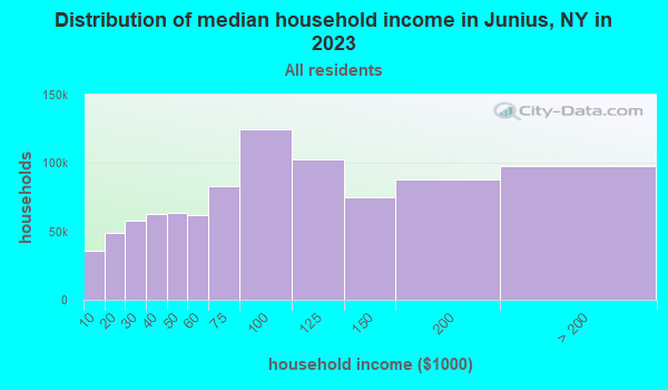 Junius, New York (NY 14433) profile: population, maps, real estate ...
