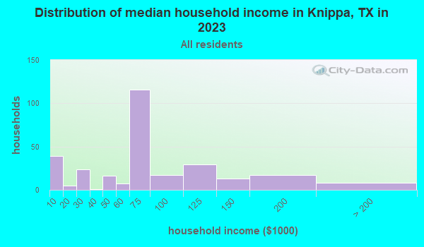Knippa, Texas (TX 78870) profile: population, maps, real estate ...