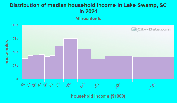 Lake Swamp, South Carolina (SC 29161) profile: population, maps, real ...
