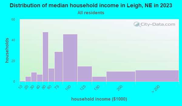 Leigh, Nebraska (NE 68643) profile: population, maps, real estate ...