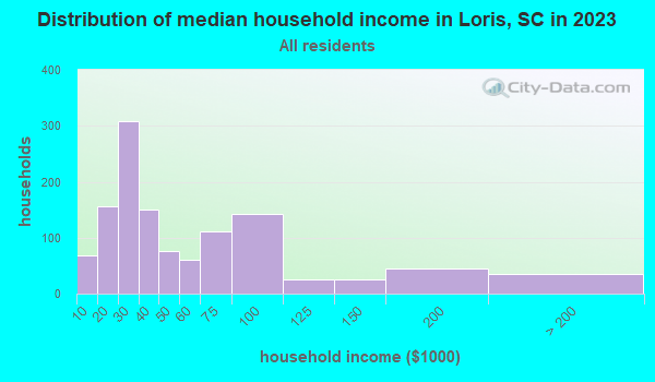 Loris, South Carolina (SC 29569) profile: population, maps, real estate ...