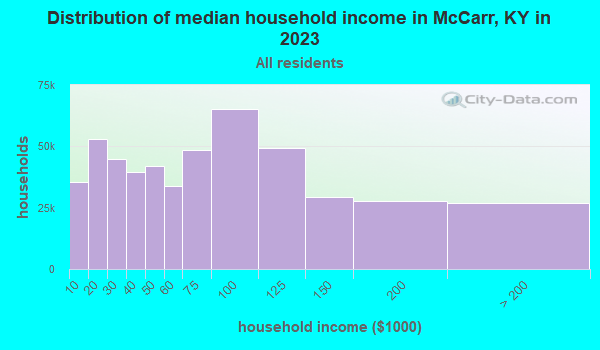 McCarr, Kentucky (KY 41558) profile: population, maps, real estate ...
