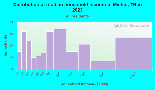 Michie, Tennessee (TN 38357) profile: population, maps, real estate ...