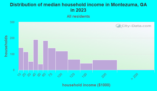 Montezuma, Georgia (GA 31063) profile: population, maps, real estate ...