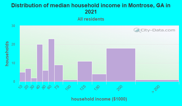 Montrose, Georgia (GA 31065) profile: population, maps, real estate ...