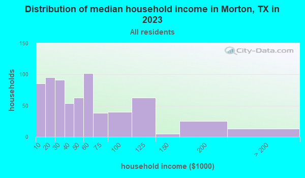 Morton, Texas (TX 79346) profile: population, maps, real estate ...