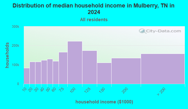 Mulberry, Tennessee (TN 37334) profile: population, maps, real estate ...