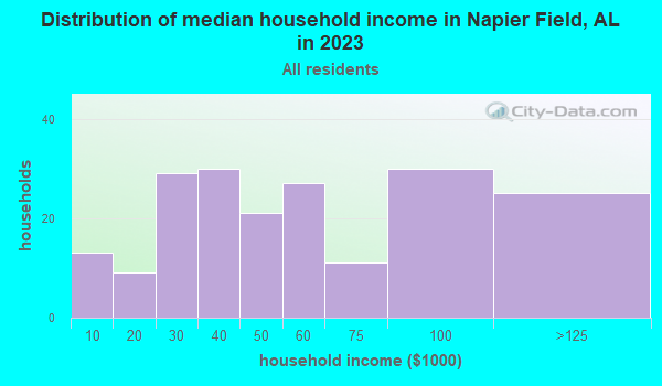 Napier Field, Alabama (AL 36350) profile: population, maps, real estate ...