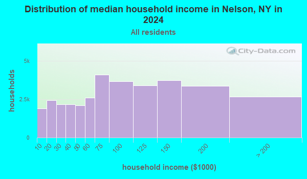 Nelson, New York (NY 13061) profile: population, maps, real estate ...