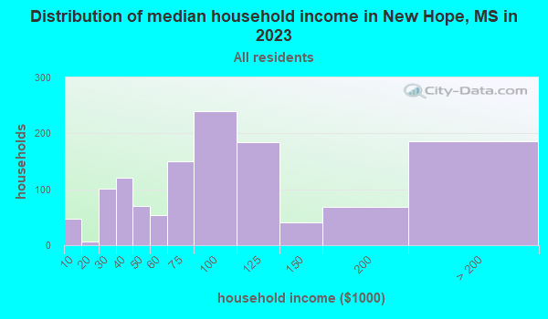 New Hope, Mississippi (MS 39702) profile: population, maps, real estate ...