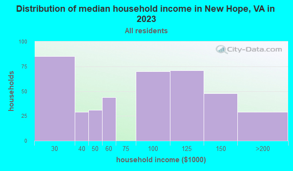 New Hope, Virginia (VA 24437) profile: population, maps, real estate ...