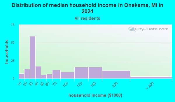 Onekama, Michigan (MI 49675) profile: population, maps, real estate ...