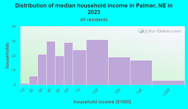 Palmer, Nebraska (NE 68864) profile: population, maps, real estate ...