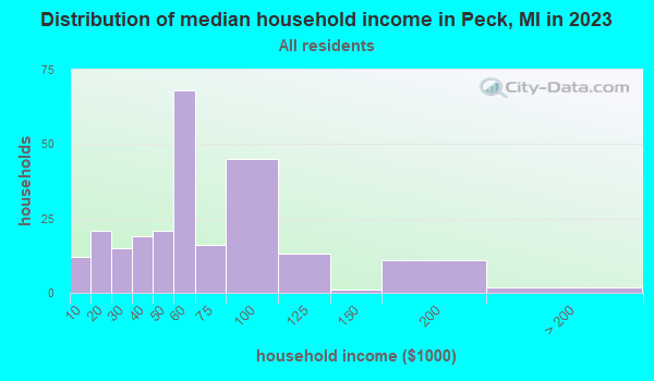 Peck, Michigan (MI 48466) profile: population, maps, real estate ...