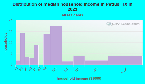 Pettus, Texas (TX 78146, 78162) profile: population, maps, real estate ...