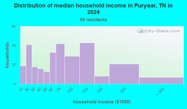 Puryear, Tennessee (TN 38251) profile: population, maps, real estate ...