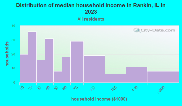 Rankin, Illinois (IL 60960) profile: population, maps, real estate ...