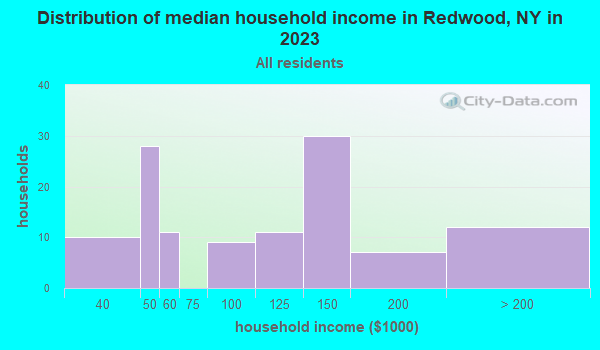 Redwood, New York (NY 13679) profile: population, maps, real estate ...