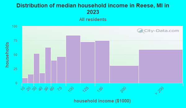 Reese, Michigan (MI 48757) profile: population, maps, real estate ...